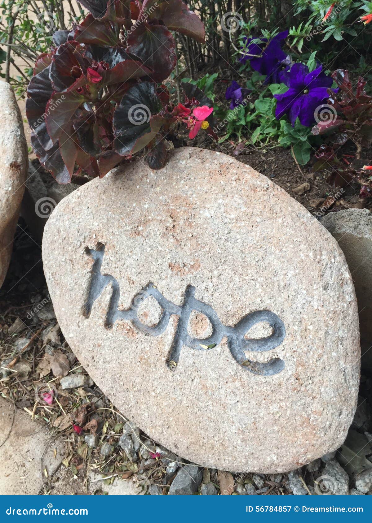 Hope stock image. Image of imagine, positive, quotes - 56784857