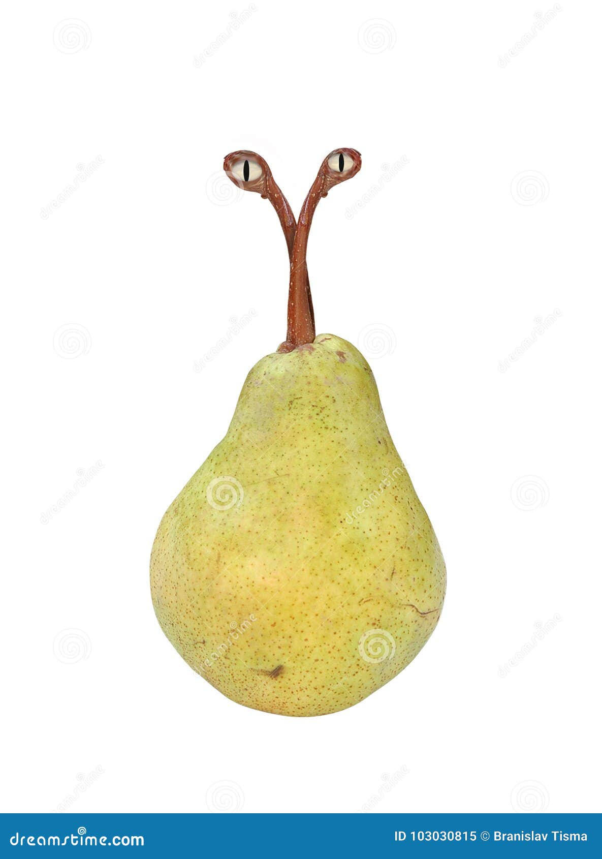 Genetically Modified Pear with Eyes Stock Image - Image of mutation ...