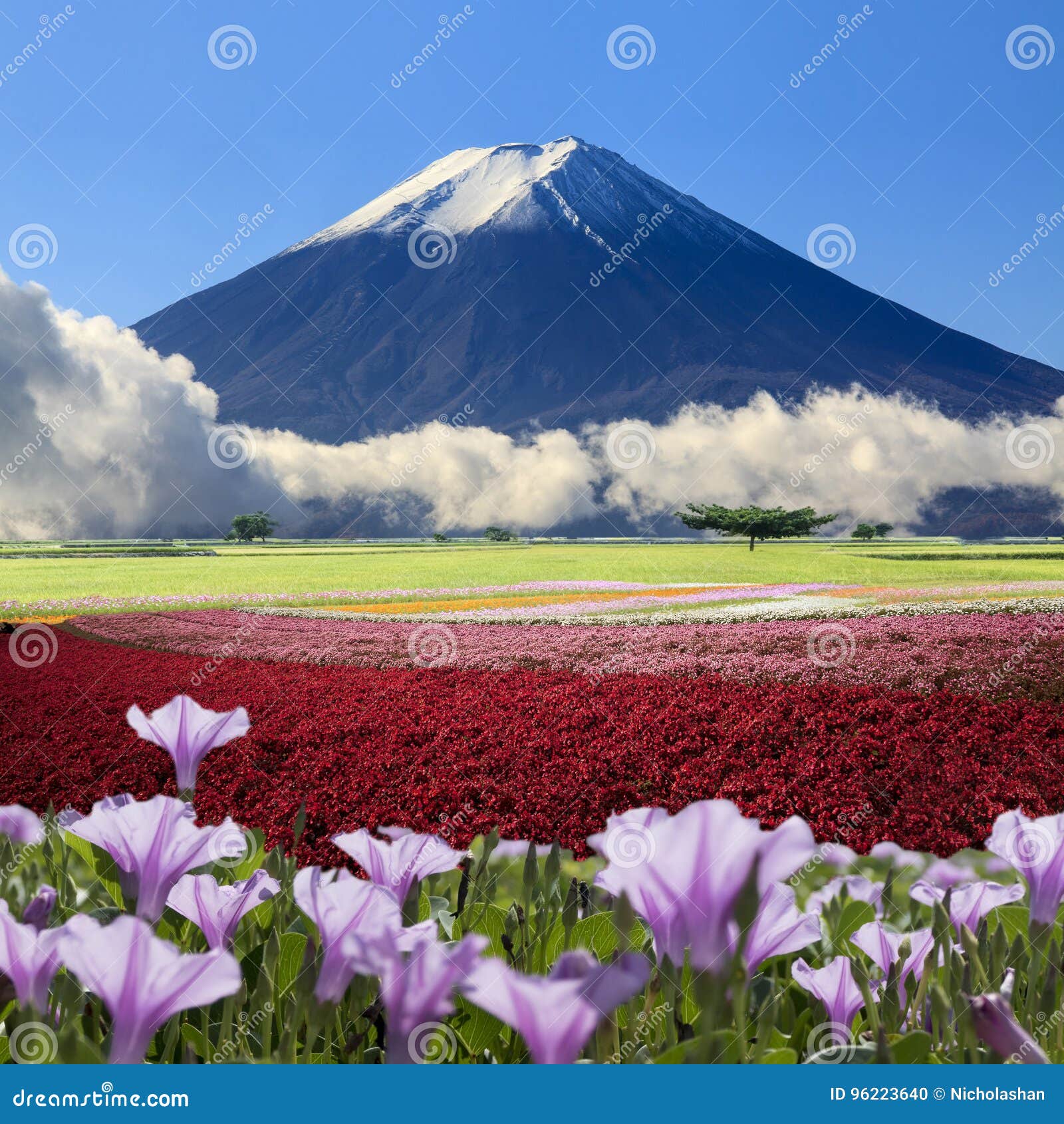 Imaging of Beautiful Landscape with Nice Nature Color Stock Photo ...