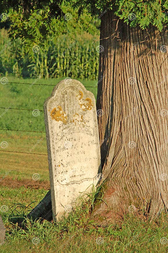 Imbedded Gravestone stock image. Image of outdoors, grave - 11576265