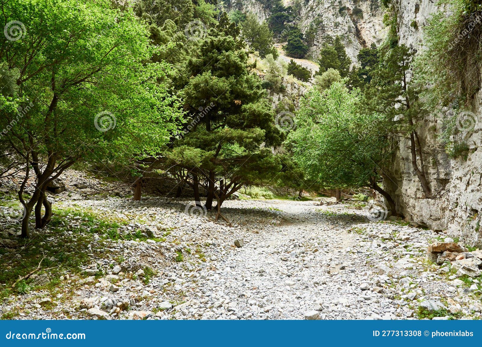 Imbros Canyon in Crete, Greece Stock Photo - Image of zaros, mineral ...