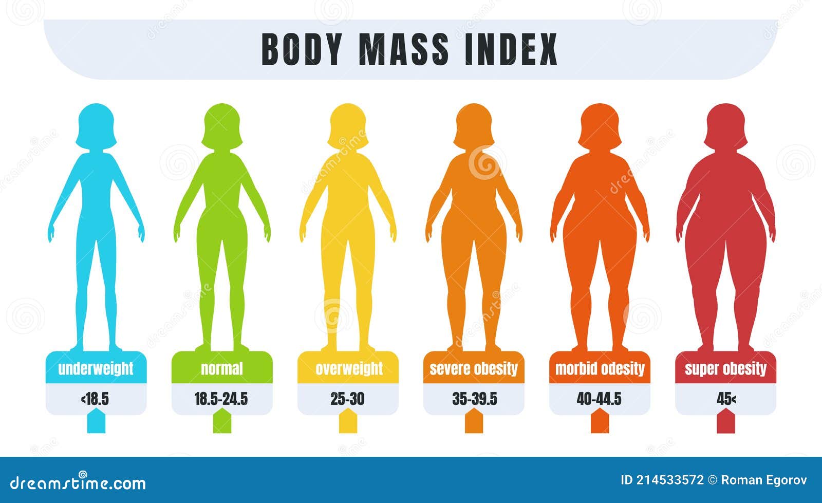 Imc Mujer Infografía Del índice De Masa Corporal Para Personas Con