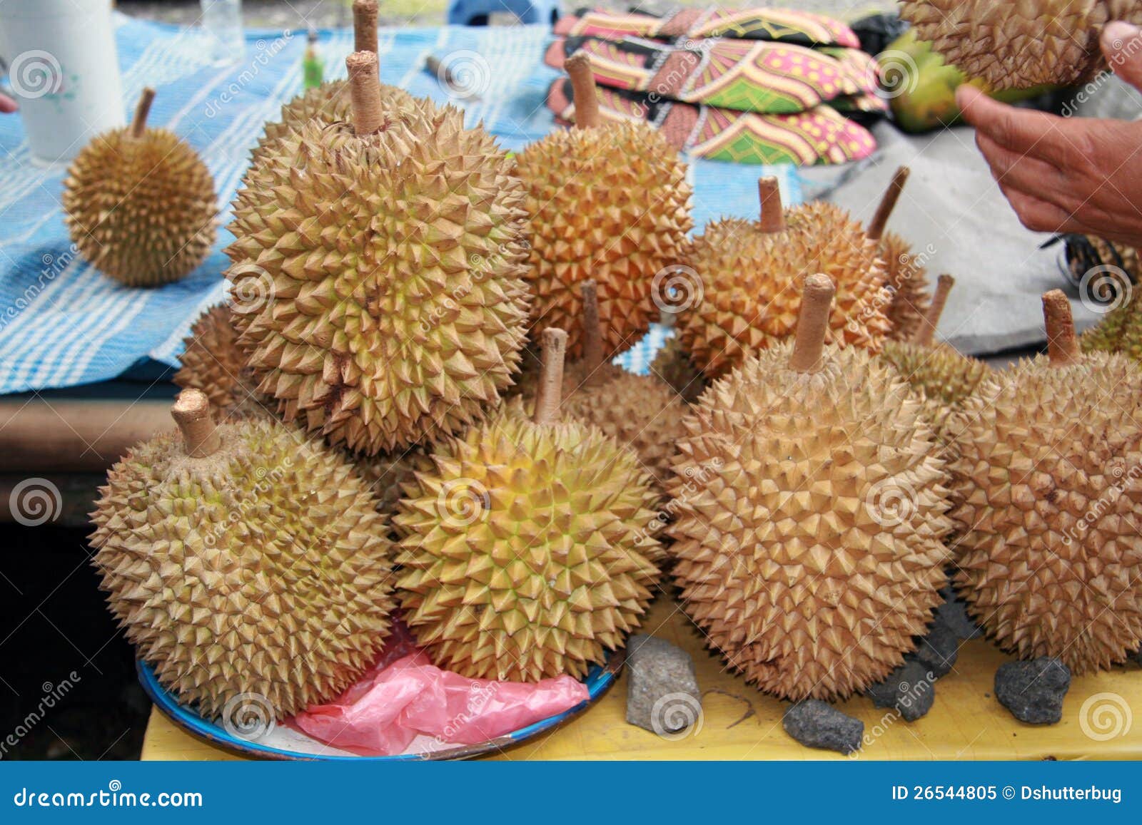 IMG_0318-durian-bali stock image. Image of culture, agriculture - 26544805