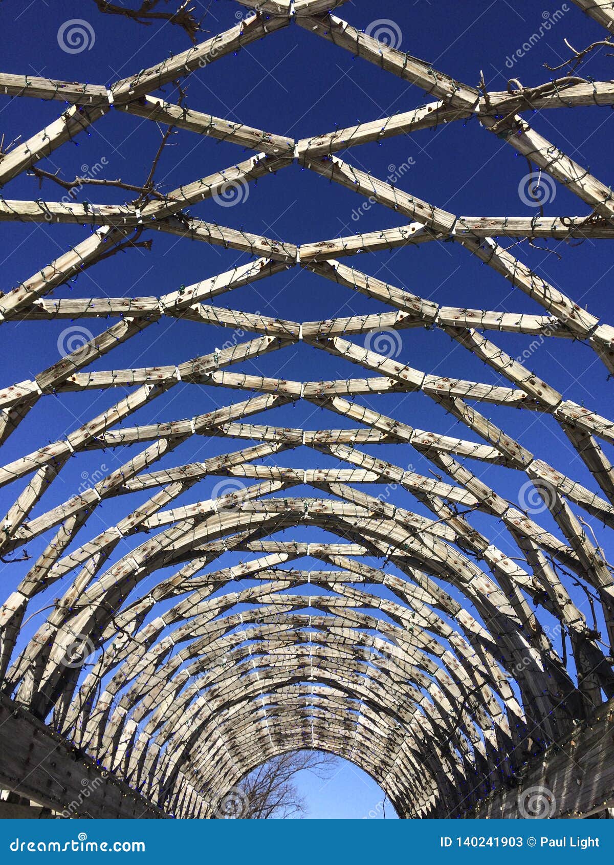 Overhead Trellis Photos - Free & Royalty-Free Stock Photos from Dreamstime