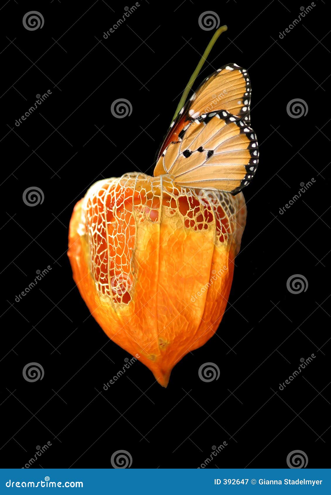 Imitation stock image. Image of cherry, digital, imitating - 392647