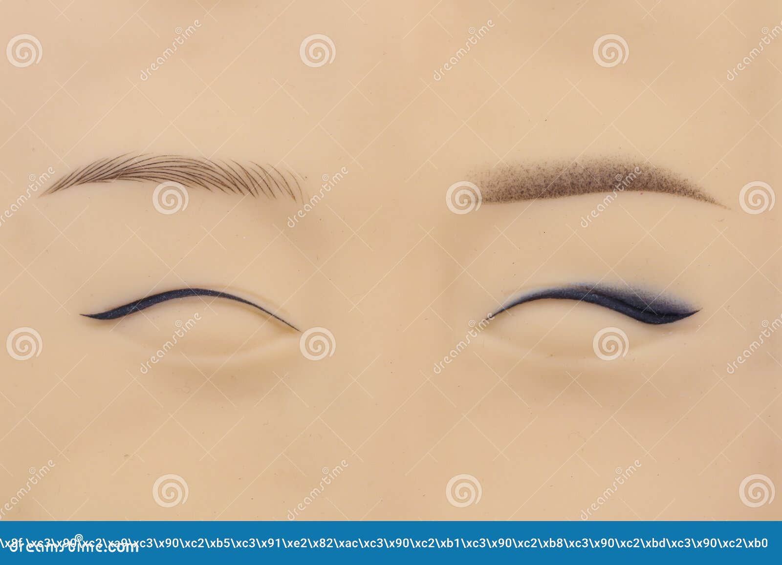 Permanent Makeup Practice Face Stock Photos - Free & Royalty-Free Stock ...