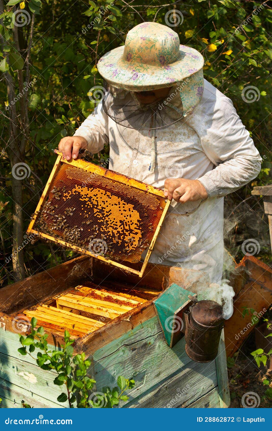 Imker stockfoto. Bild von bienenhaus, kasten, bienenzucht - 28862872