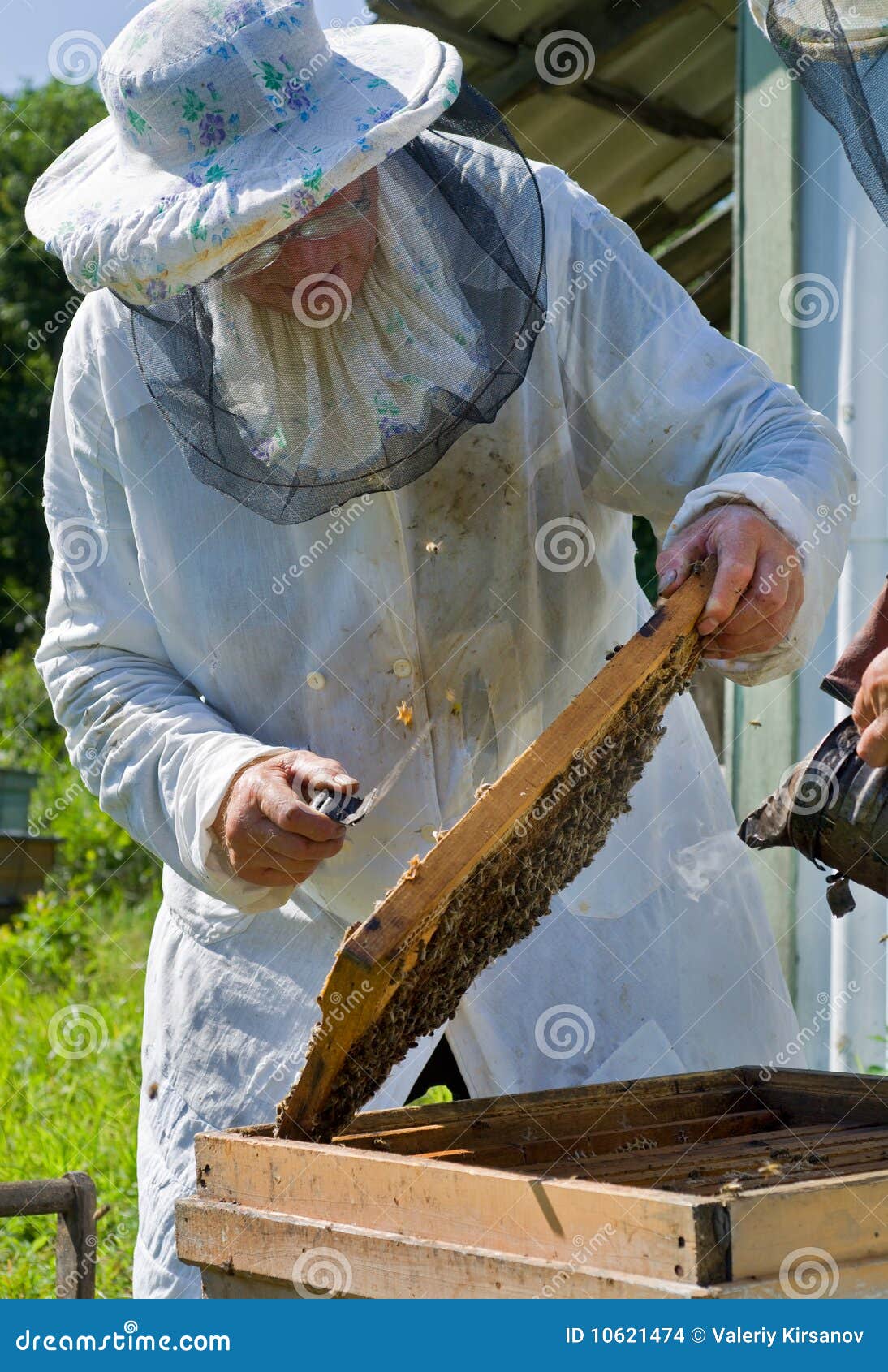 Imker 53 stockfoto. Bild von honig, gesundheit, bienenstock - 10621474