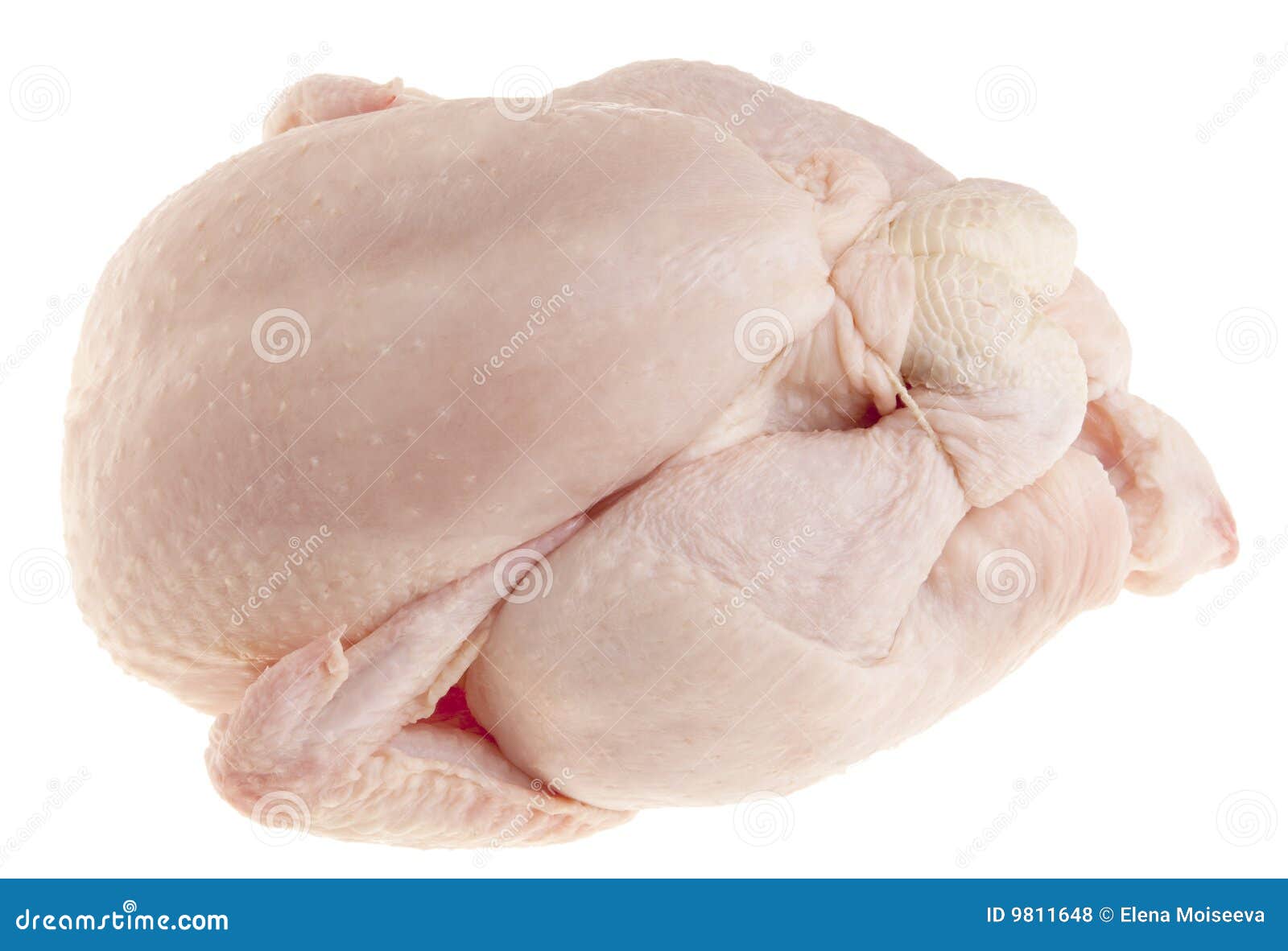 Immaculate Broiler Raw Chicken Stock Photo - Image of meat, white: 9811648