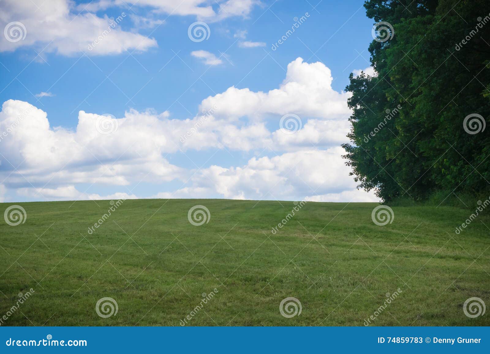 Immaculate nature stock image. Image of field, cloudy - 74859783