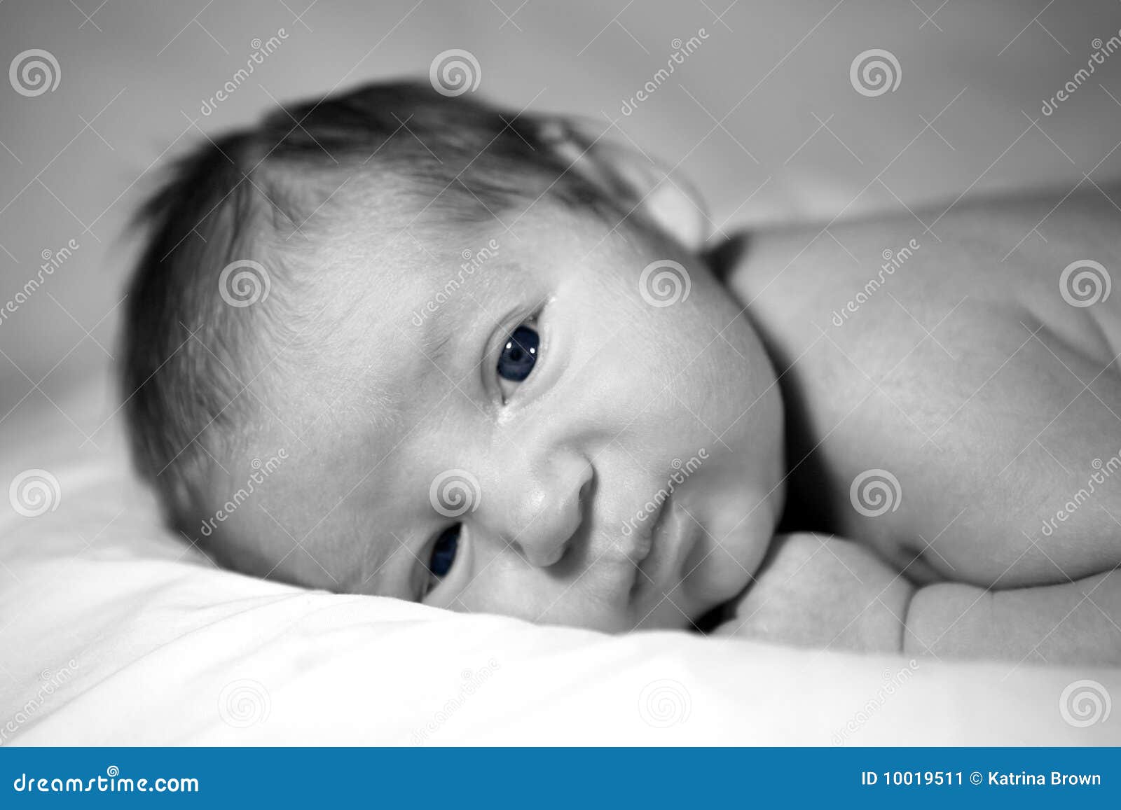 Immagine in Bianco E Nero Di Bello Neonato Immagine Stock - Immagine di ...