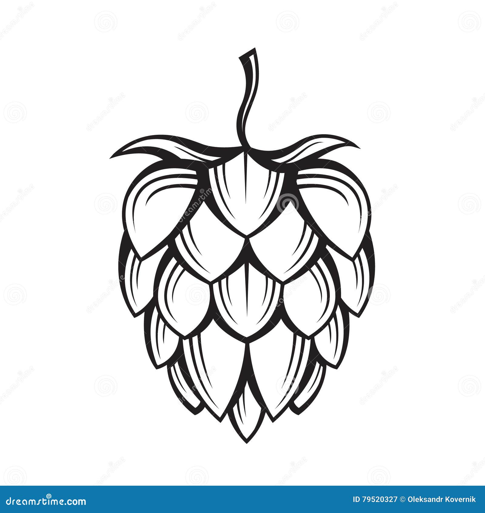 Immagine del luppolo illustrazione vettoriale. Illustrazione di alcool ...