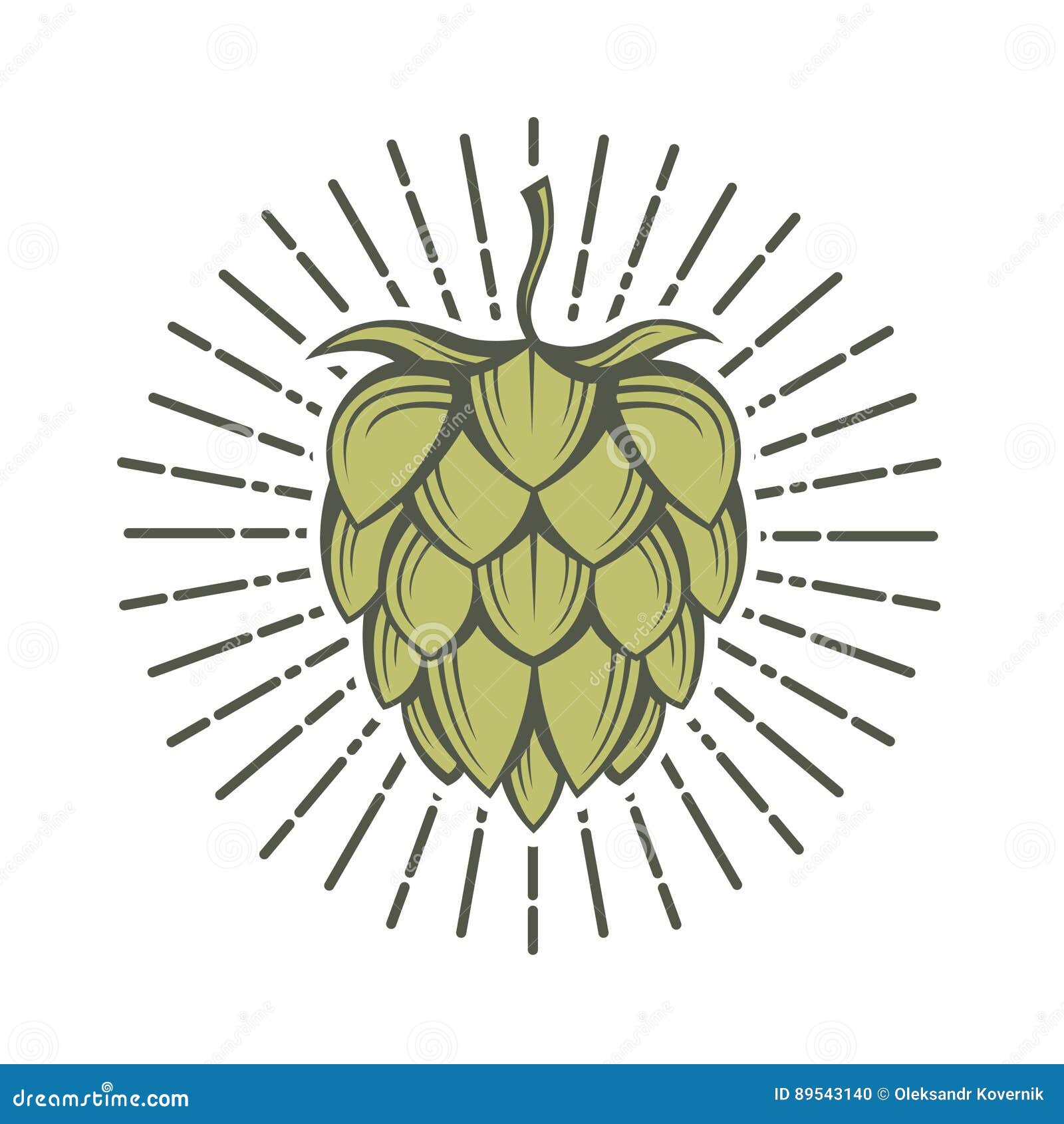 Immagine del luppolo illustrazione vettoriale. Illustrazione di erba ...