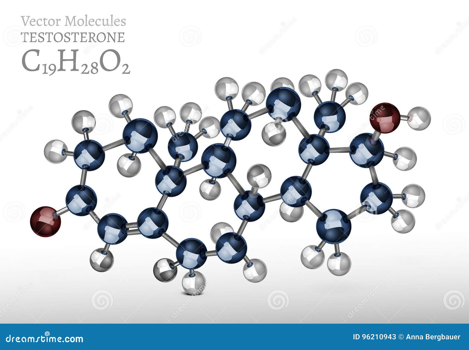 Immagine Della Molecola Del Testosterone Illustrazione Vettoriale ...