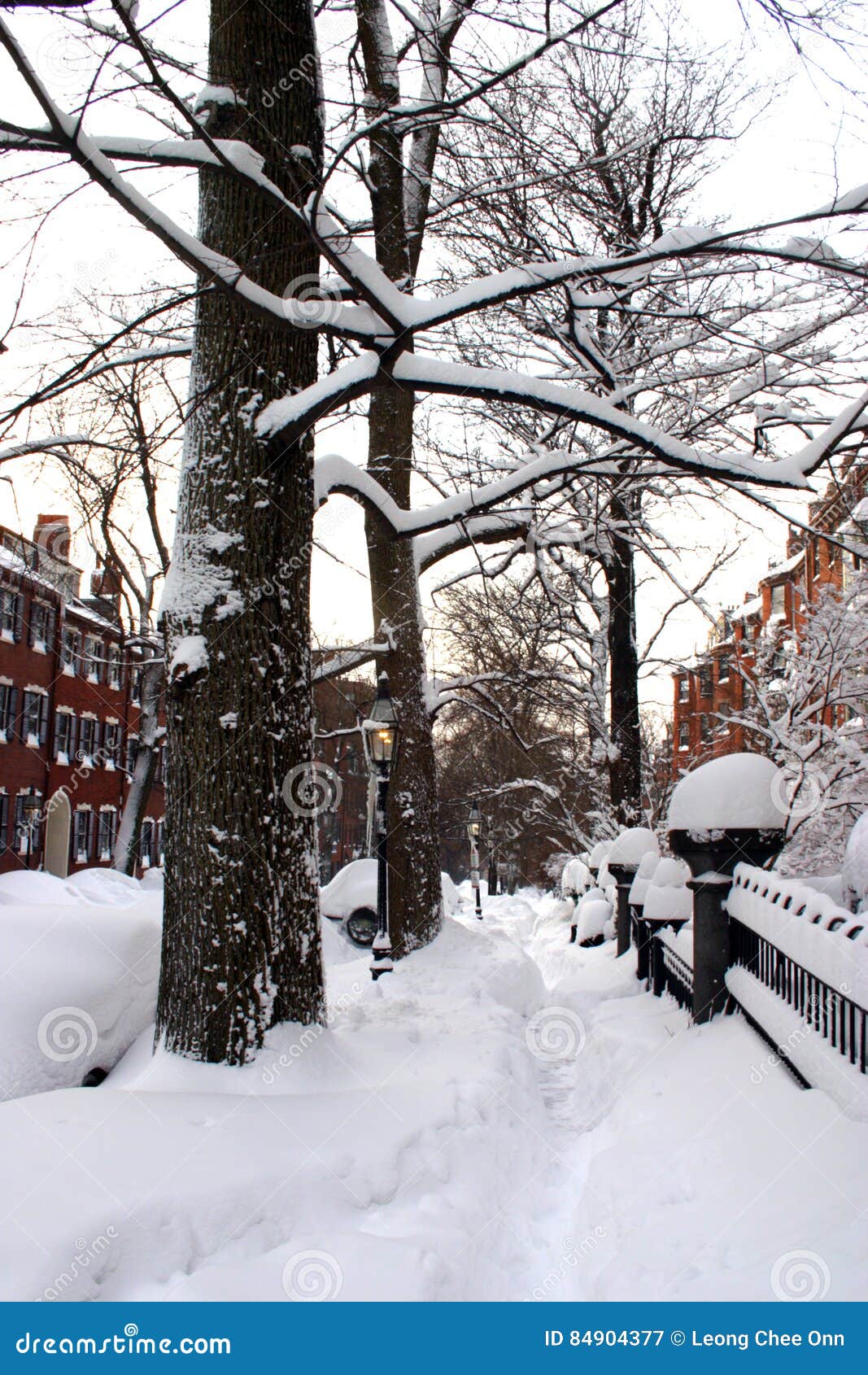 Immagine Di Riserva Dell'inverno Di Boston, Boston, U.S.a. Immagine ...