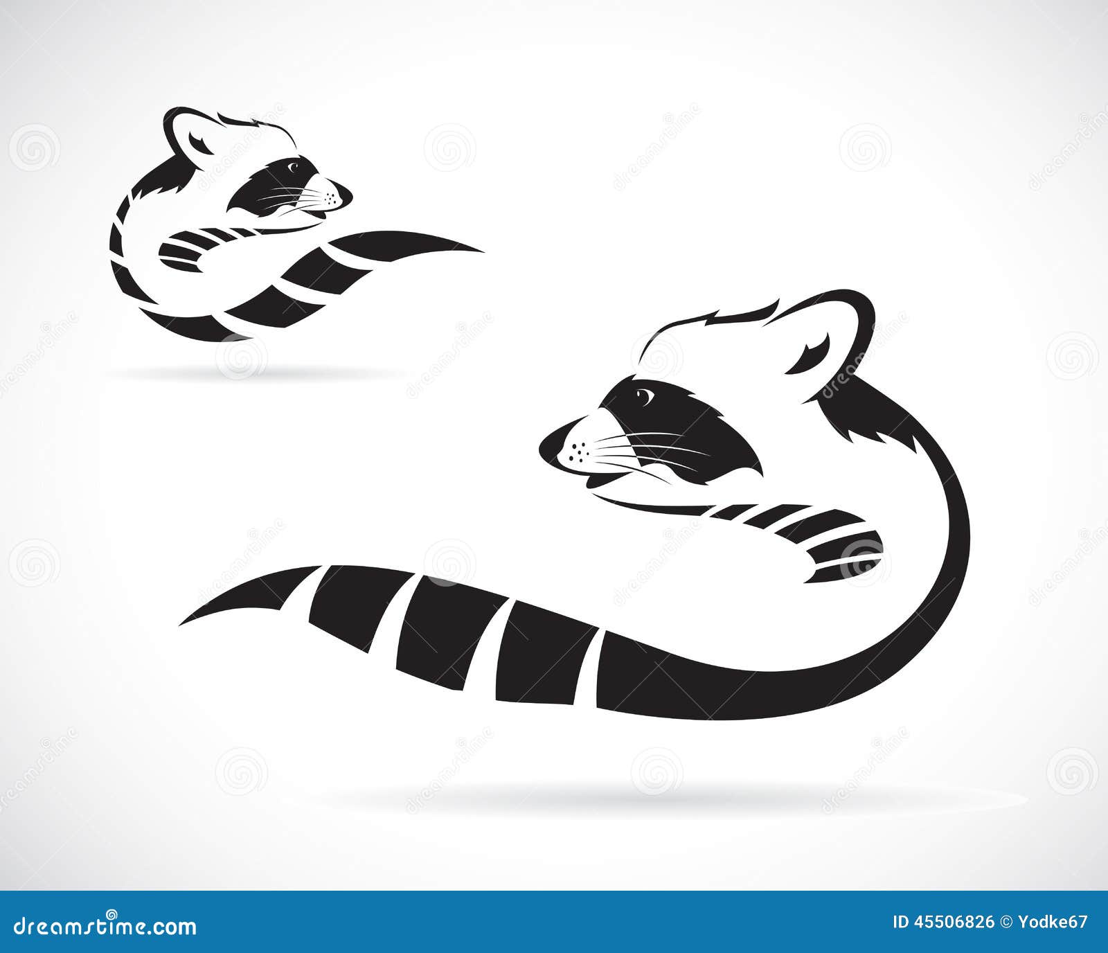 Immagine Di Vettore Di Un Procione Illustrazione Vettoriale ...