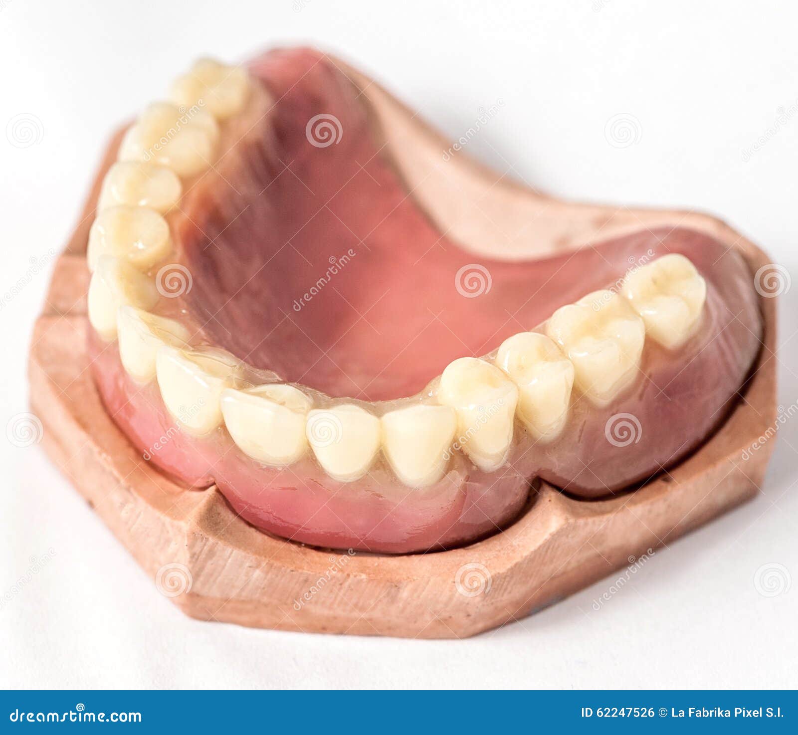 Immediate denture Upper stock photo. Image of bite, dentist - 62247526