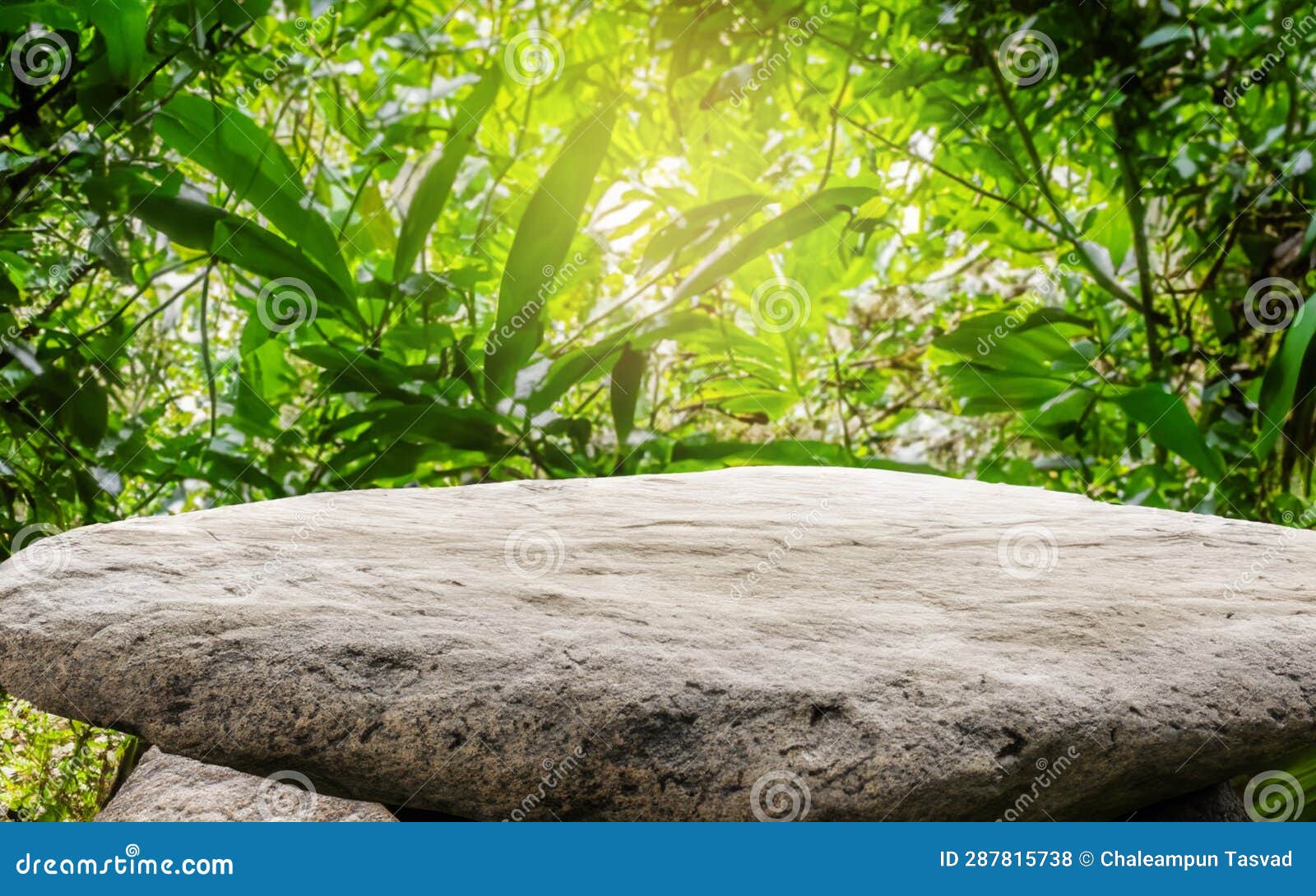Wooden Tabletop on a Boulder Placed among an Exotic Jungle Stock Photo ...