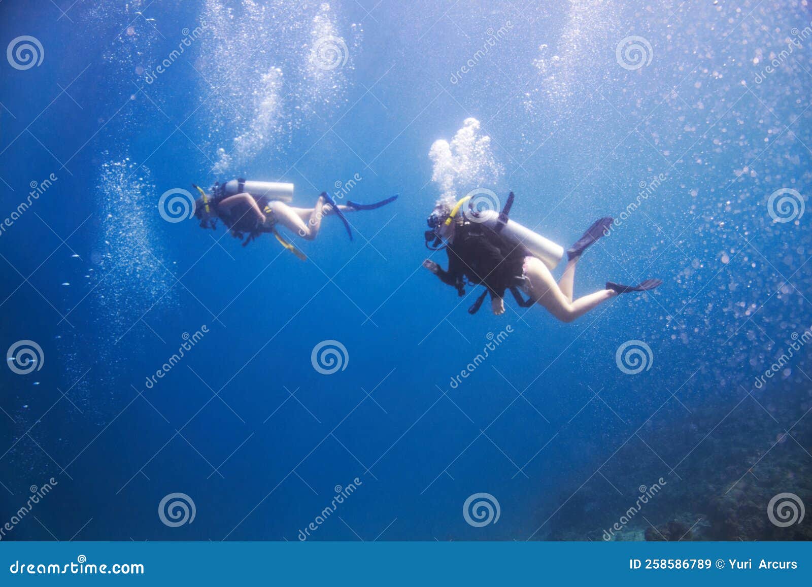 Immersed in the Deep Blue. Two Scuba Divers Float Peacfully in the Deep ...