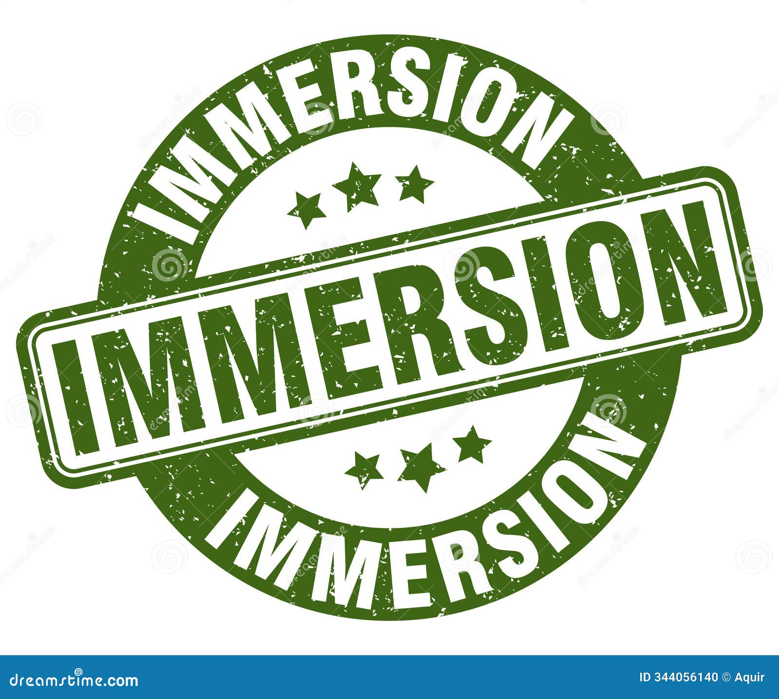 Immersion Stamp. Immersion Label. Round Grunge Sign Stock Vector ...