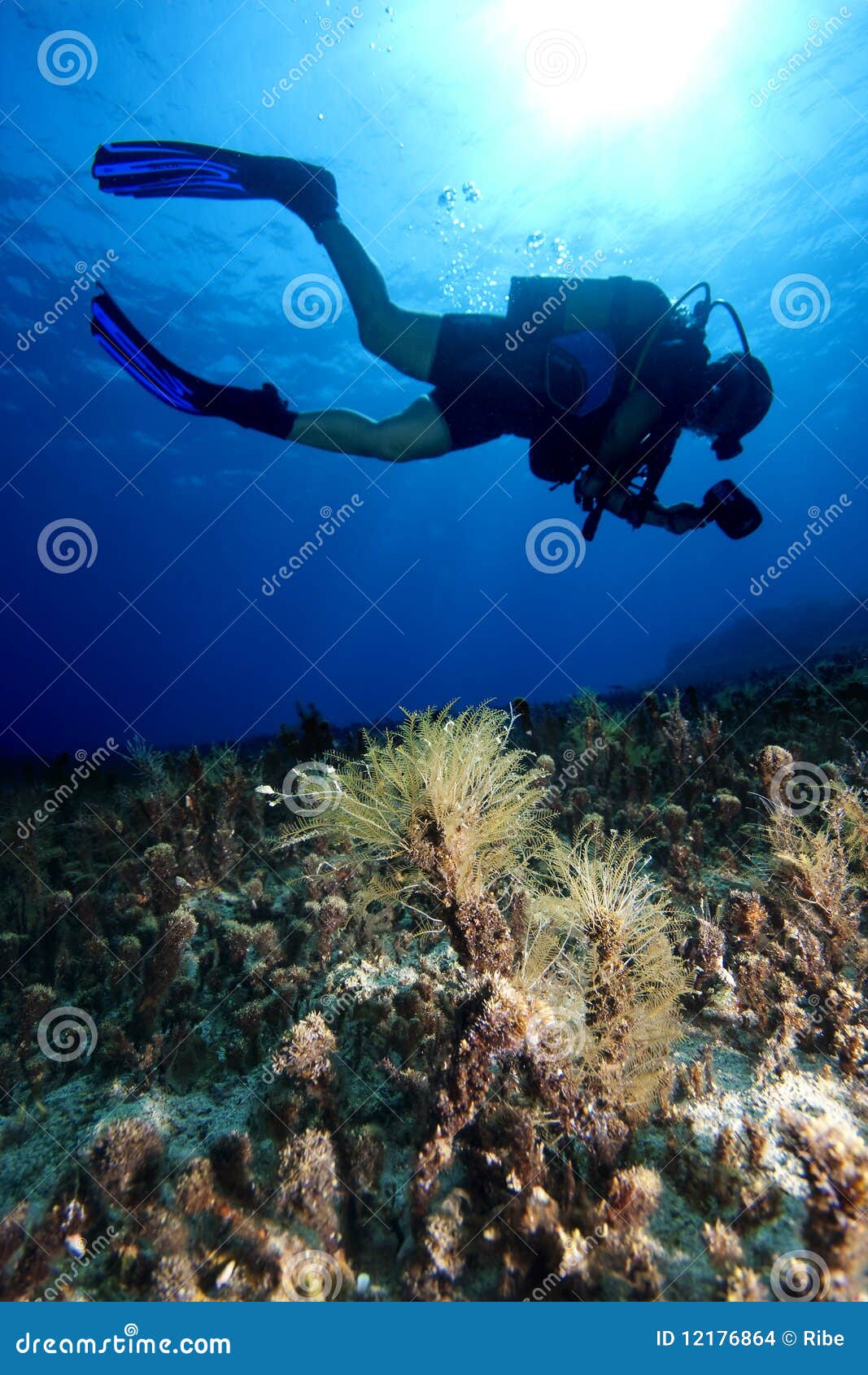 Immersione con bombole fotografia stock. Immagine di immersione - 12176864