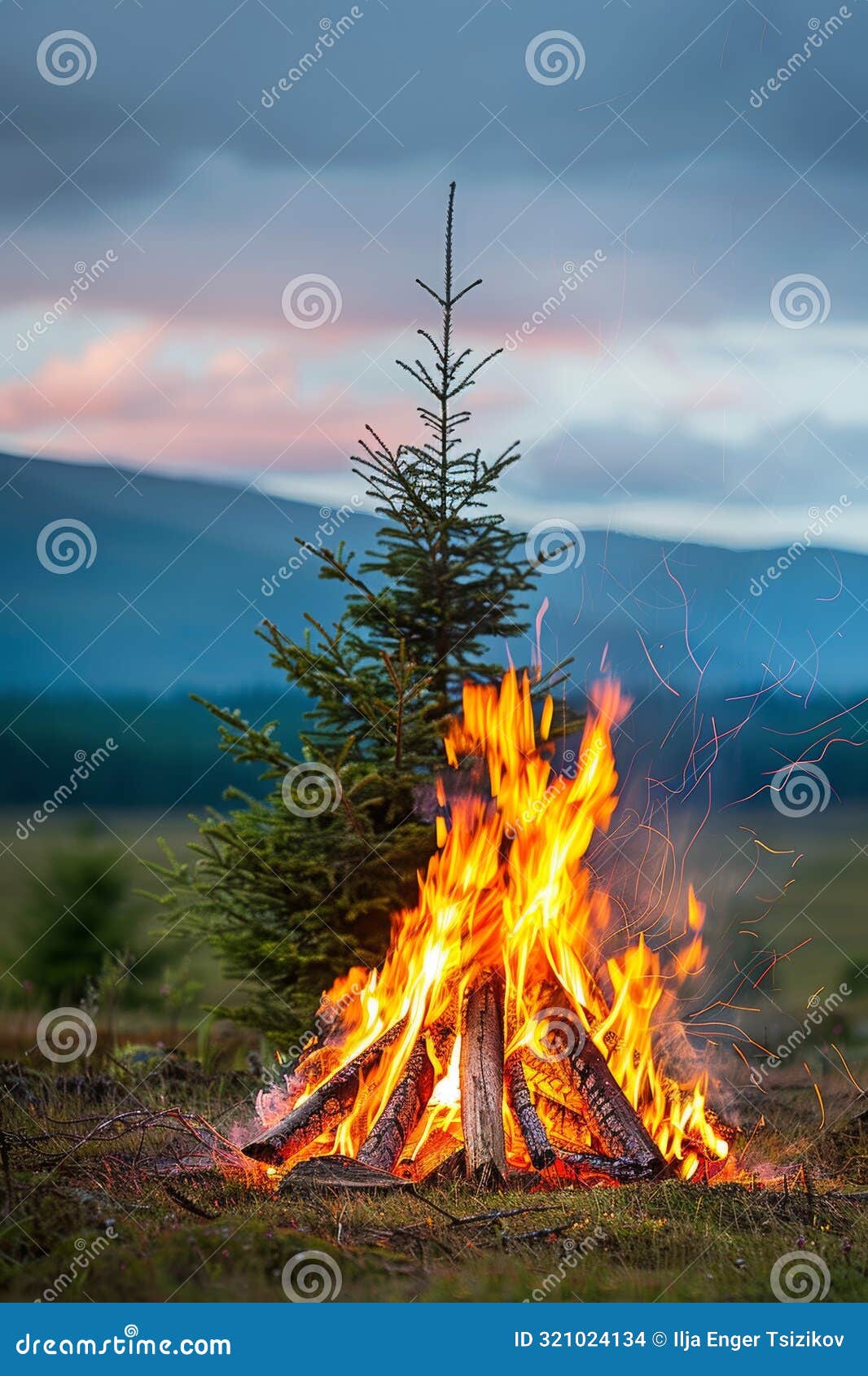 Immersive Camping Experience Under the Stars with a Warm Crackling Open ...