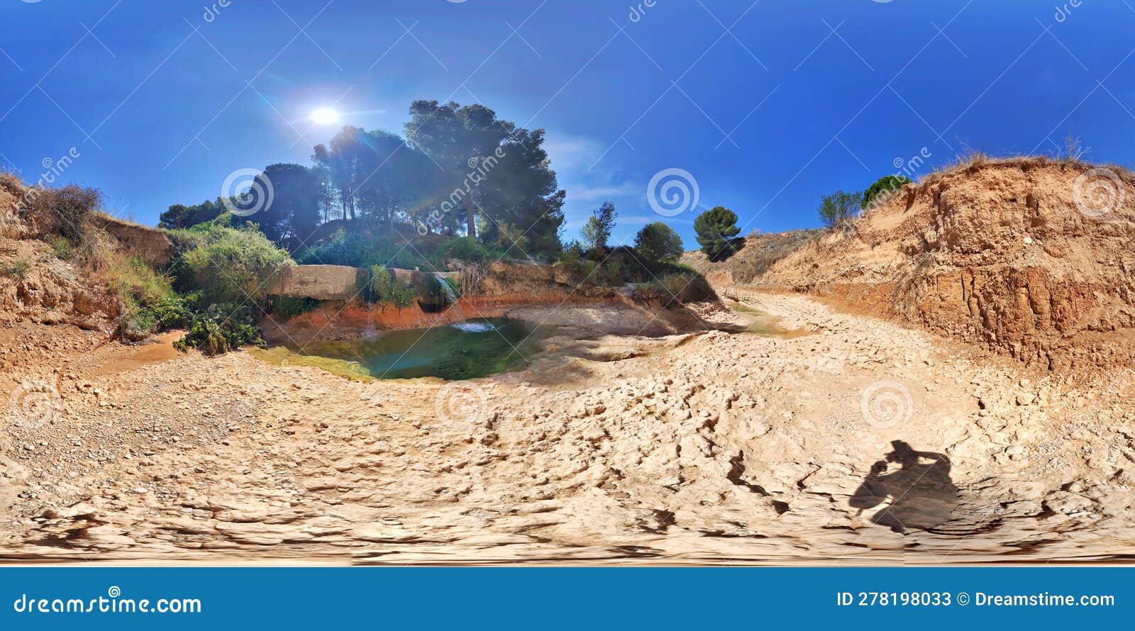 Immersive Nature: Serene Beauty of Trees and River in 360-Degree ...