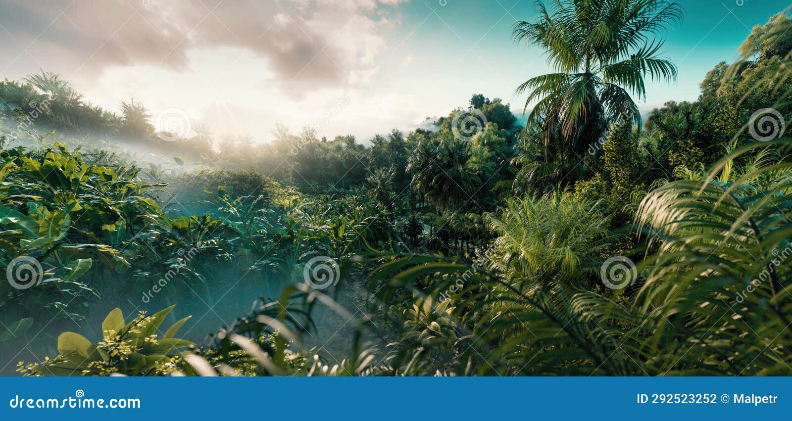 Immersive Sunset View through the Dense, Misty Jungle: a First-Person ...