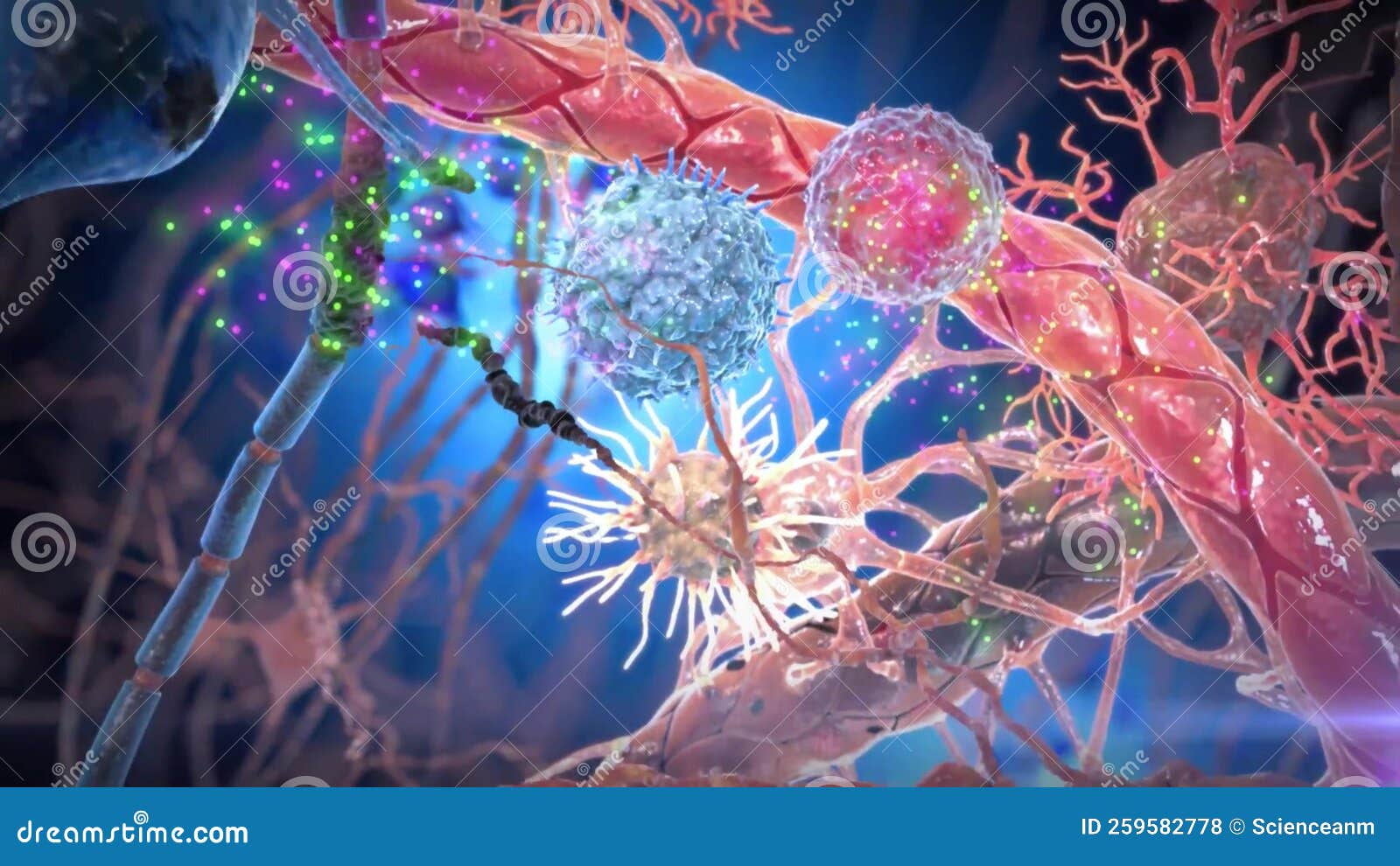 The Immune Response is How Your Body Recognizes and Defends Itself ...