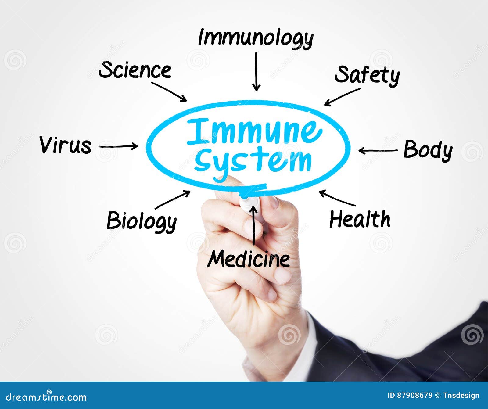 Immune System Strength Guidance Word Cloud Royalty-Free Stock ...