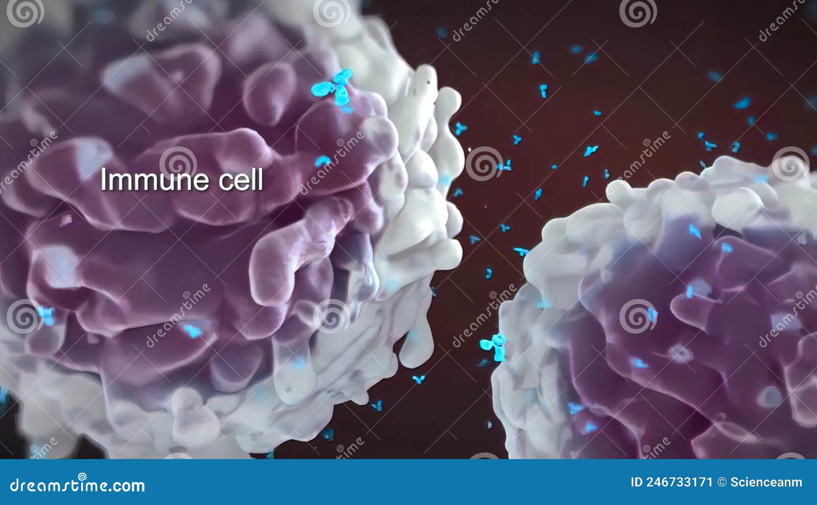 Immune System and Defense System Stock Illustration - Illustration of ...