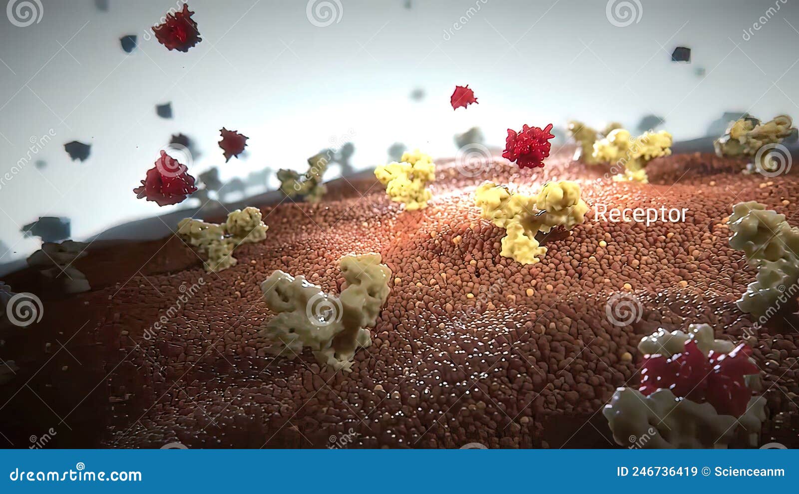 Immune System Defense, Functioning in the Body Stock Illustration ...