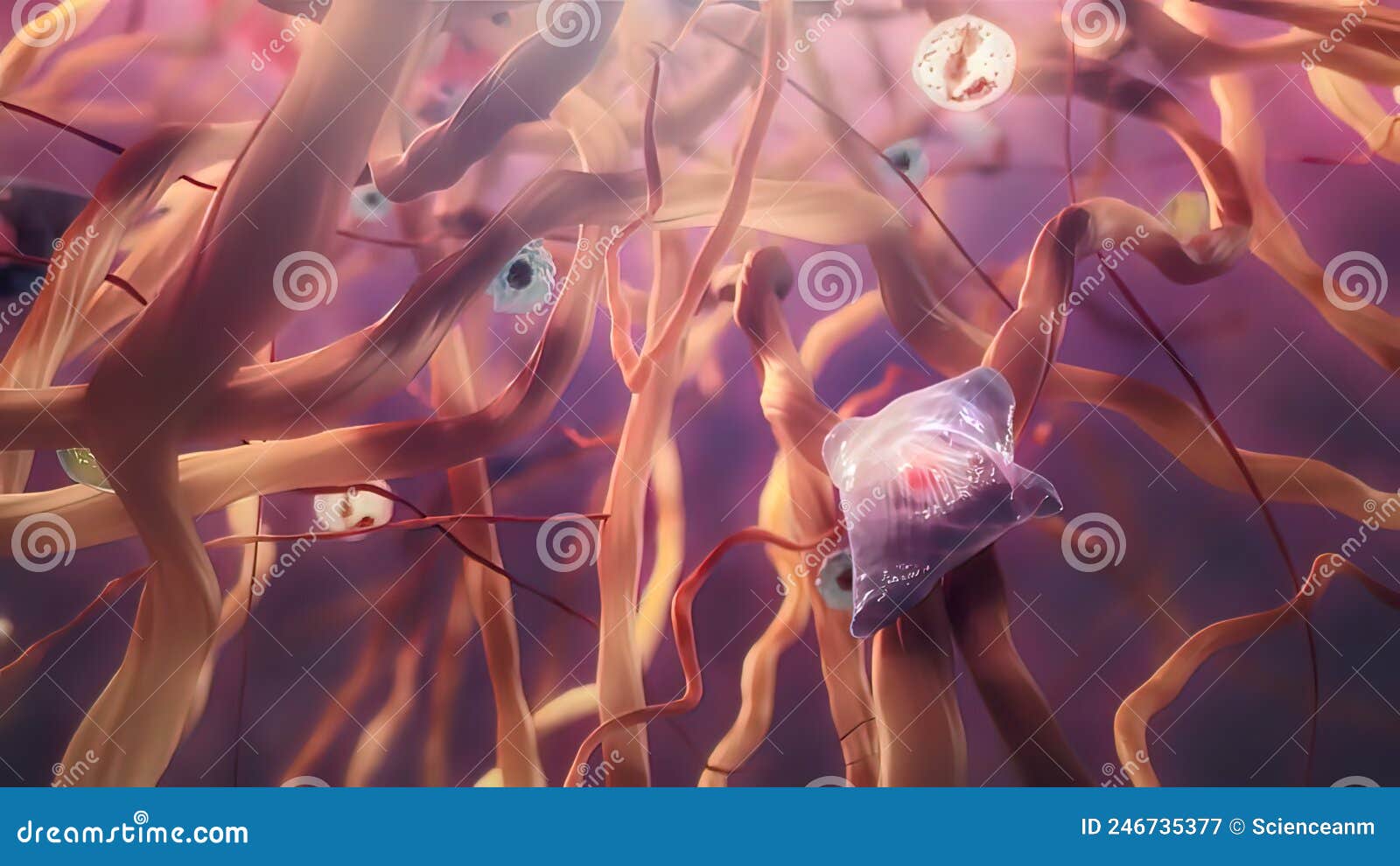 Immune System and Defense System Stock Illustration - Illustration of ...