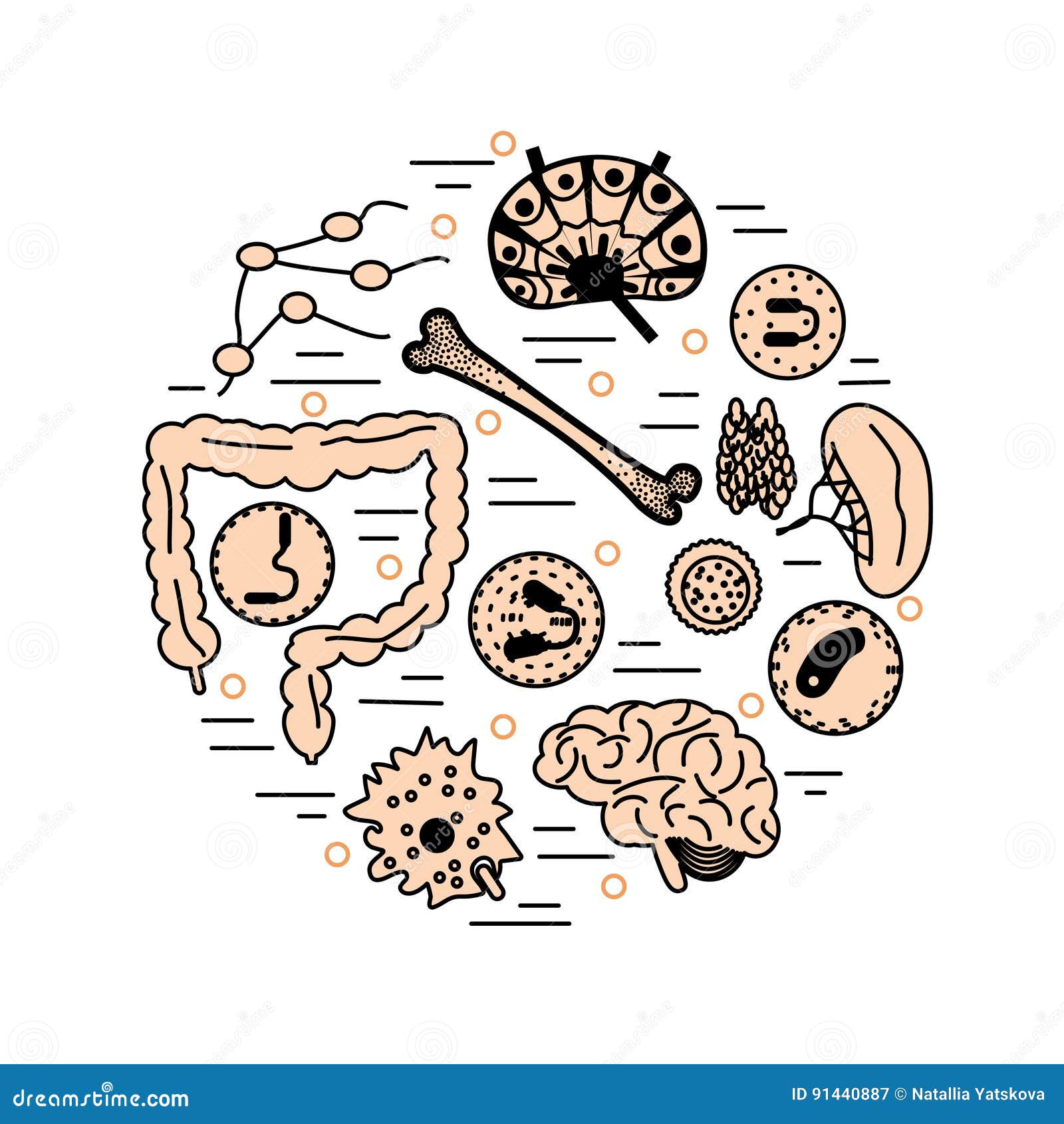 Immune system icon set stock vector. Illustration of immune - 91440887