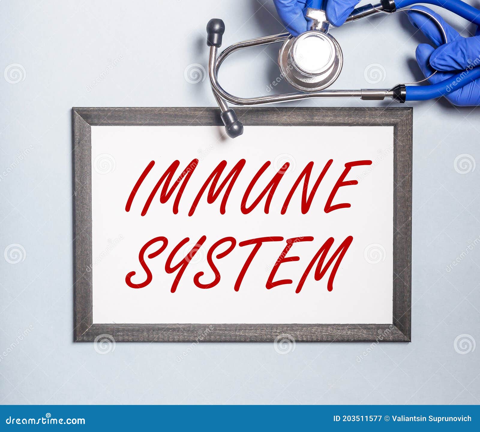 Immune System Inscription. Medical Text or Words Stock Image - Image of ...
