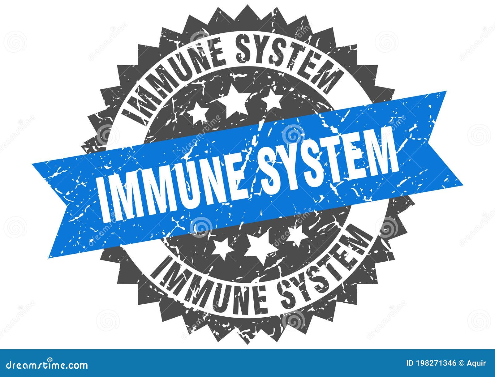 Immune System Stamp. Immune System Grunge Round Sign Stock Vector ...