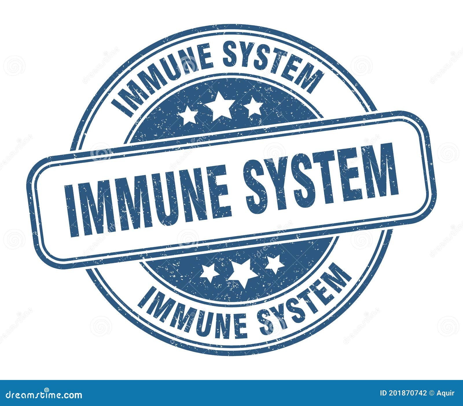 Immune System Stamp. Immune System Label. Round Grunge Sign Stock ...