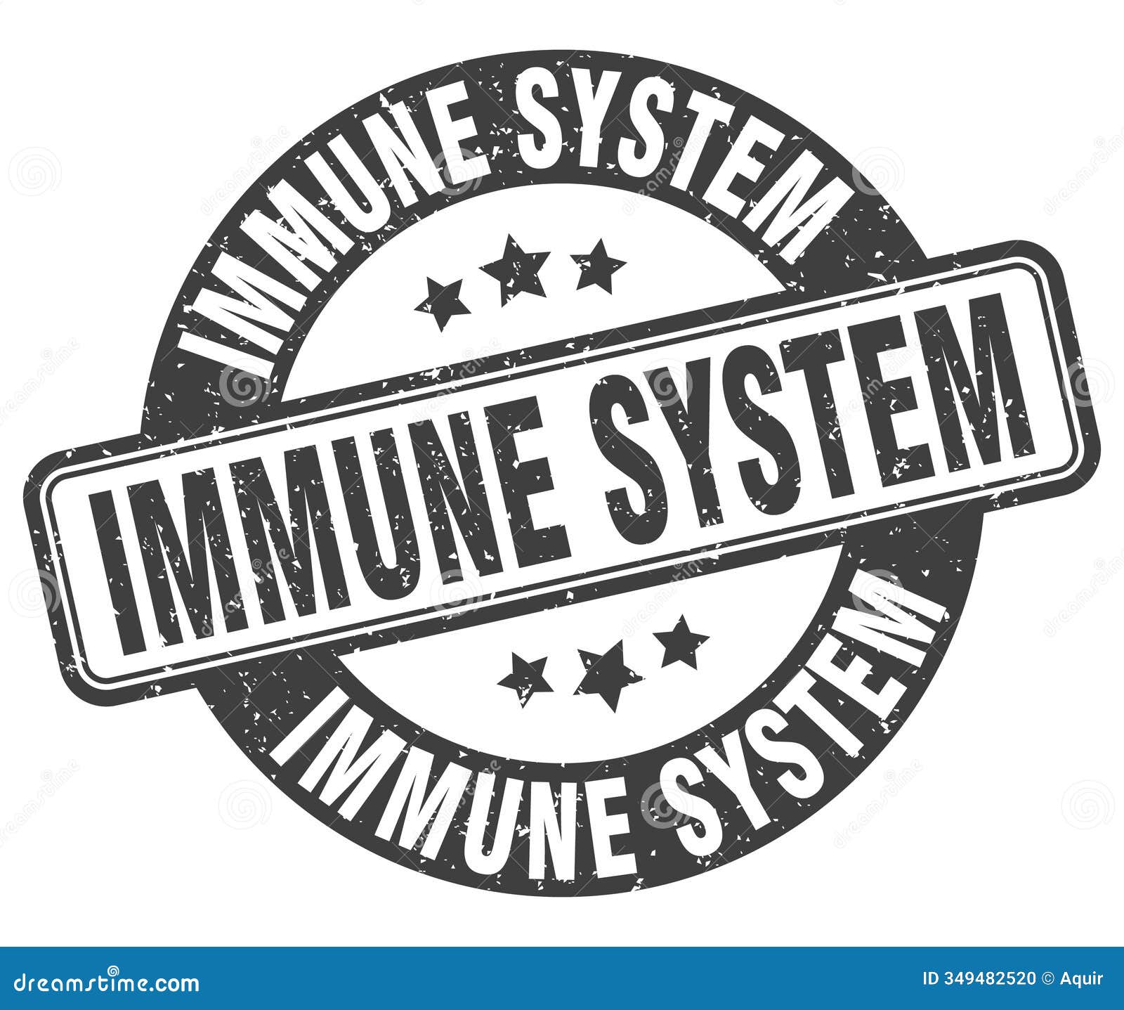 Immune System Stamp. Immune System Label. Round Grunge Sign Stock ...