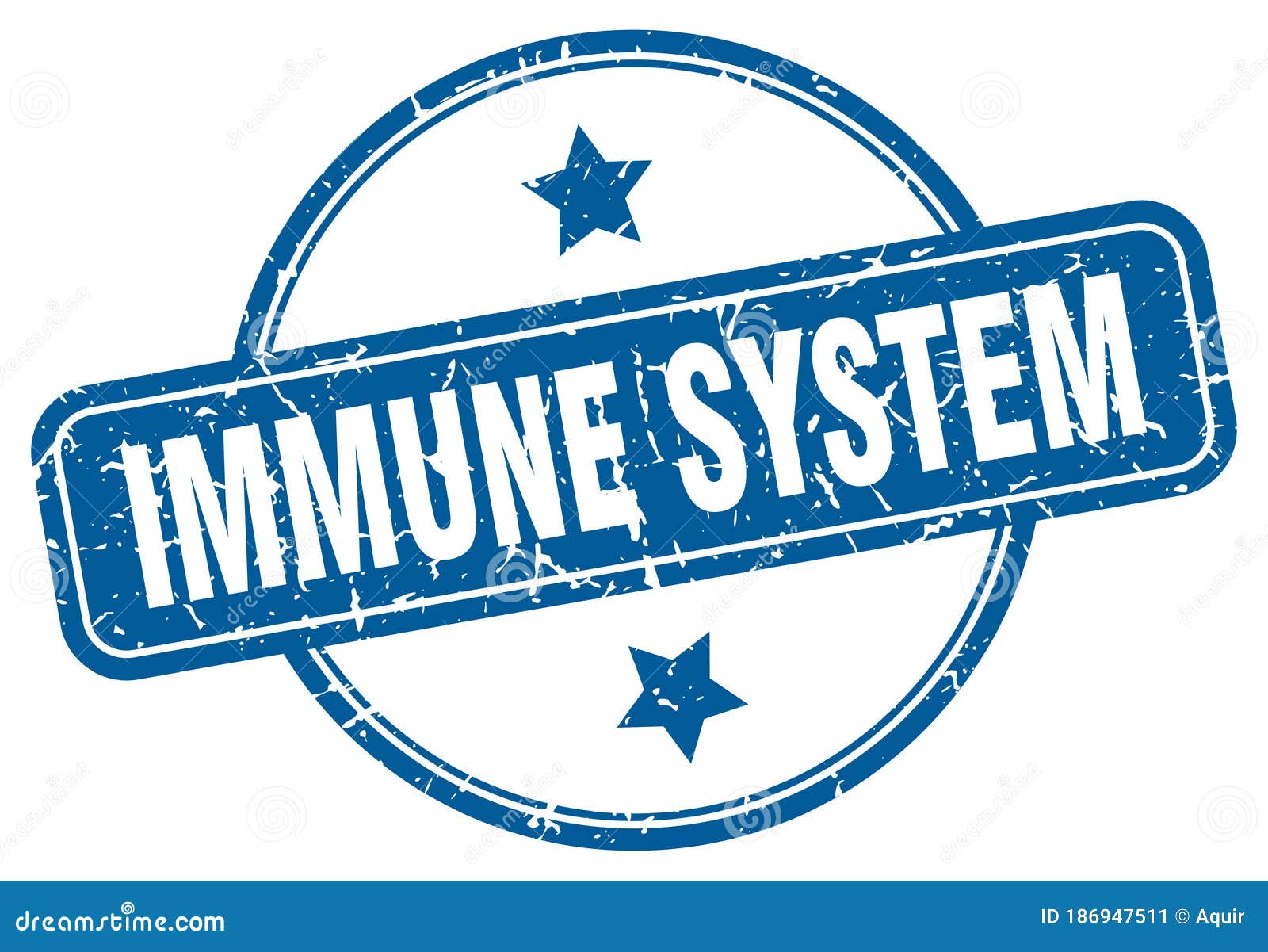 Immune System Stamp. Immune System Round Vintage Grunge Label Stock ...