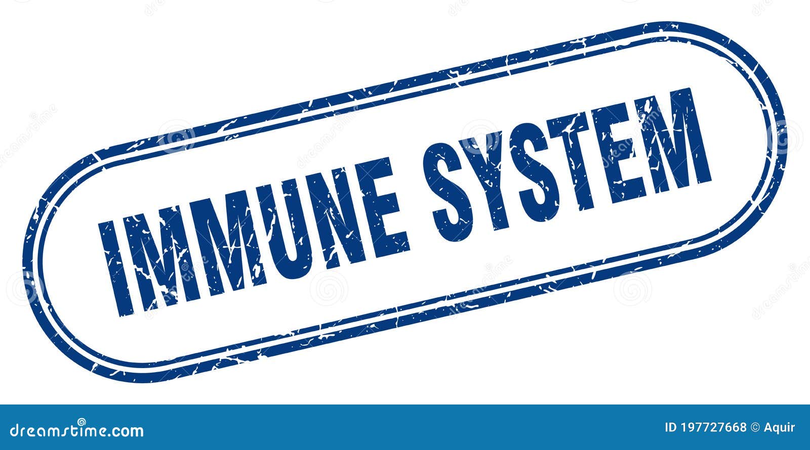 Immune System Stamp. Rounded Grunge Textured Sign. Label Stock Vector ...