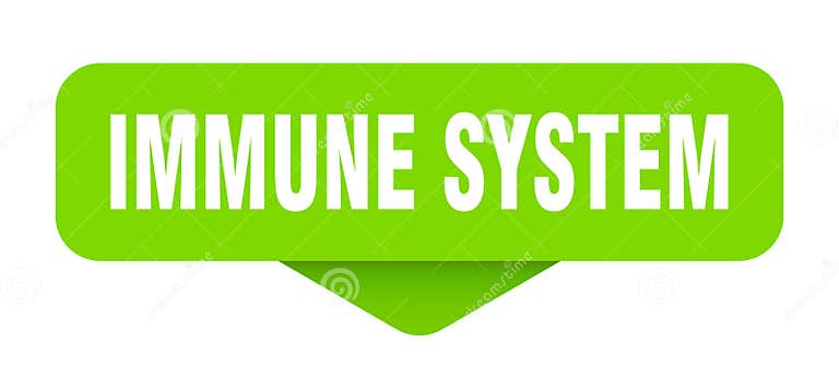 Immune System Sticker. Immune System Sign on Transparent Background ...