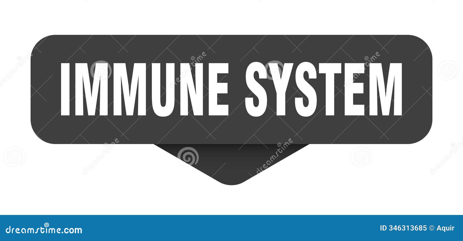 Immune System Sticker. Immune System Sign on Transparent Background ...