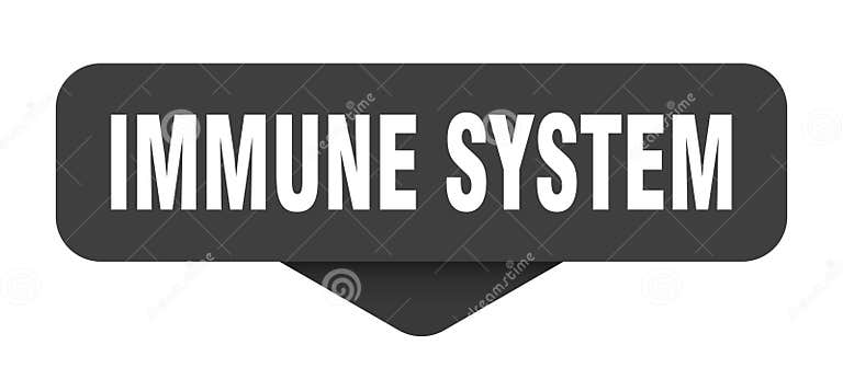 Immune System Sticker. Immune System Sign on Transparent Background ...