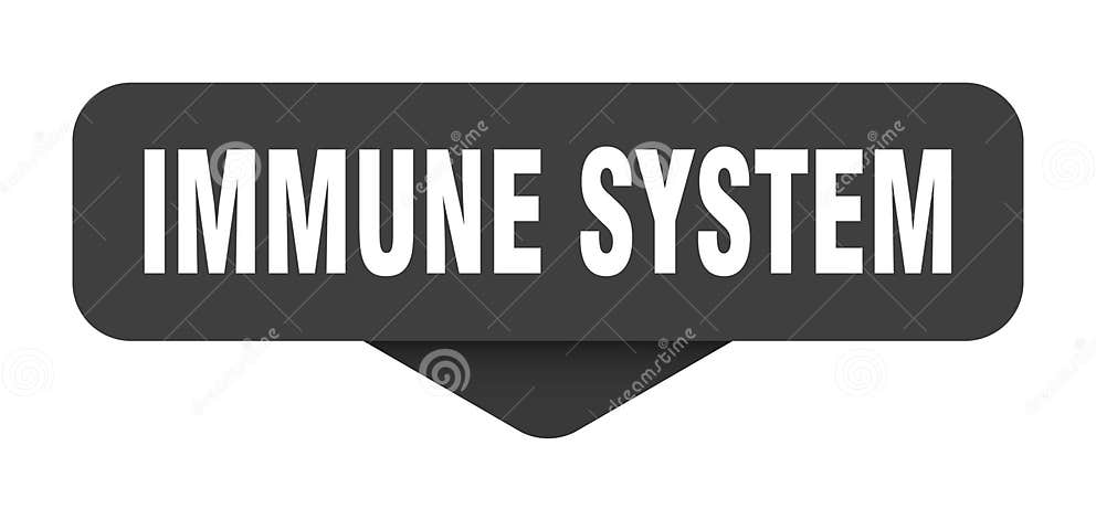 Immune System Sticker. Immune System Sign on Transparent Background ...