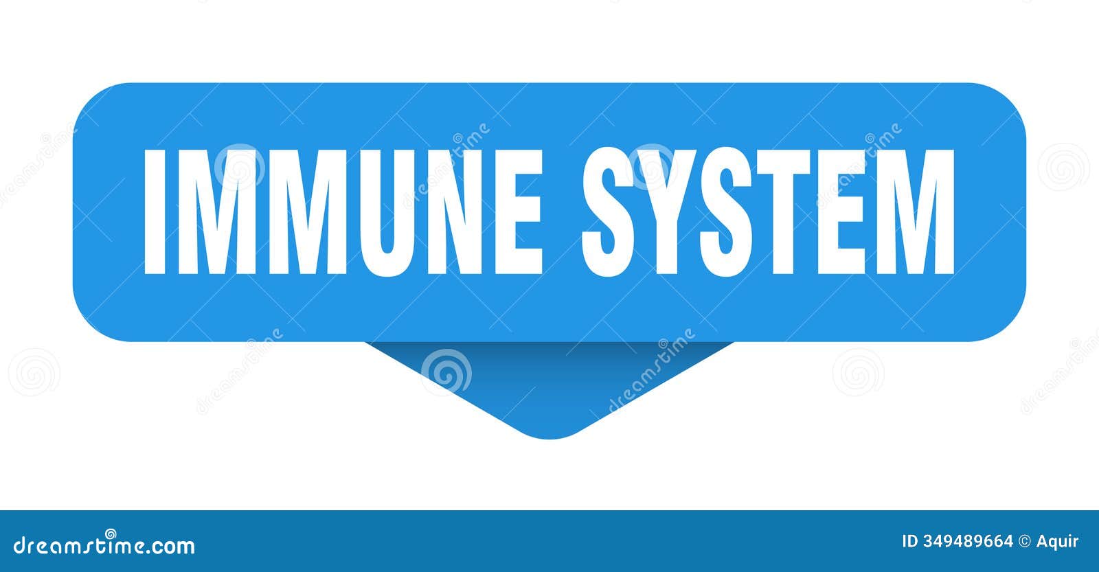 Immune System Sticker. Immune System Sign on Transparent Background ...