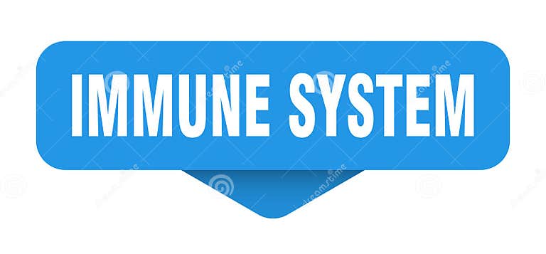 Immune System Sticker. Immune System Sign on Transparent Background ...