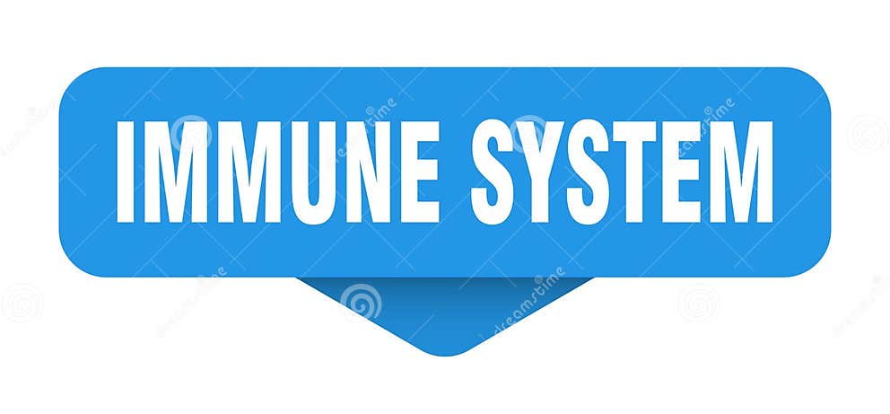 Immune System Sticker. Immune System Sign on Transparent Background ...