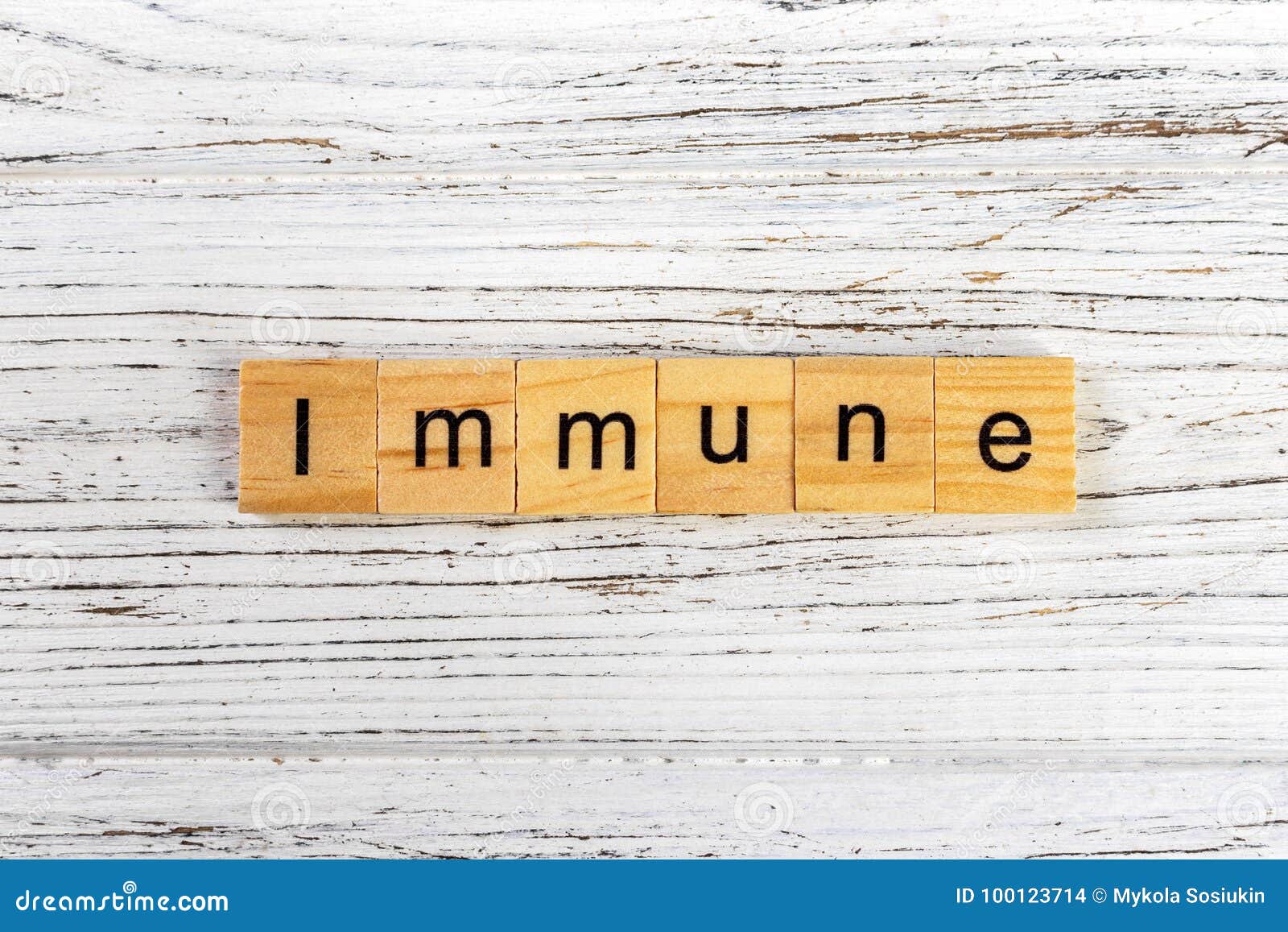 IMMUNE Word Made with Wooden Blocks Concept Stock Photo - Image of ...