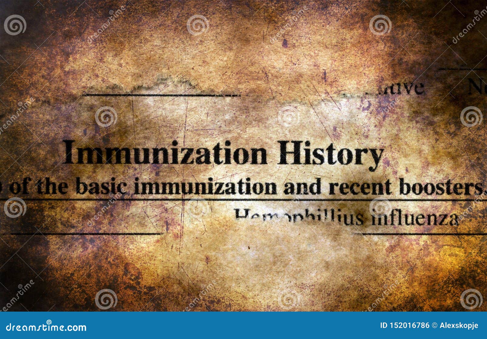 Immunization History Form Grunge Concept Stock Photo - Image of ...