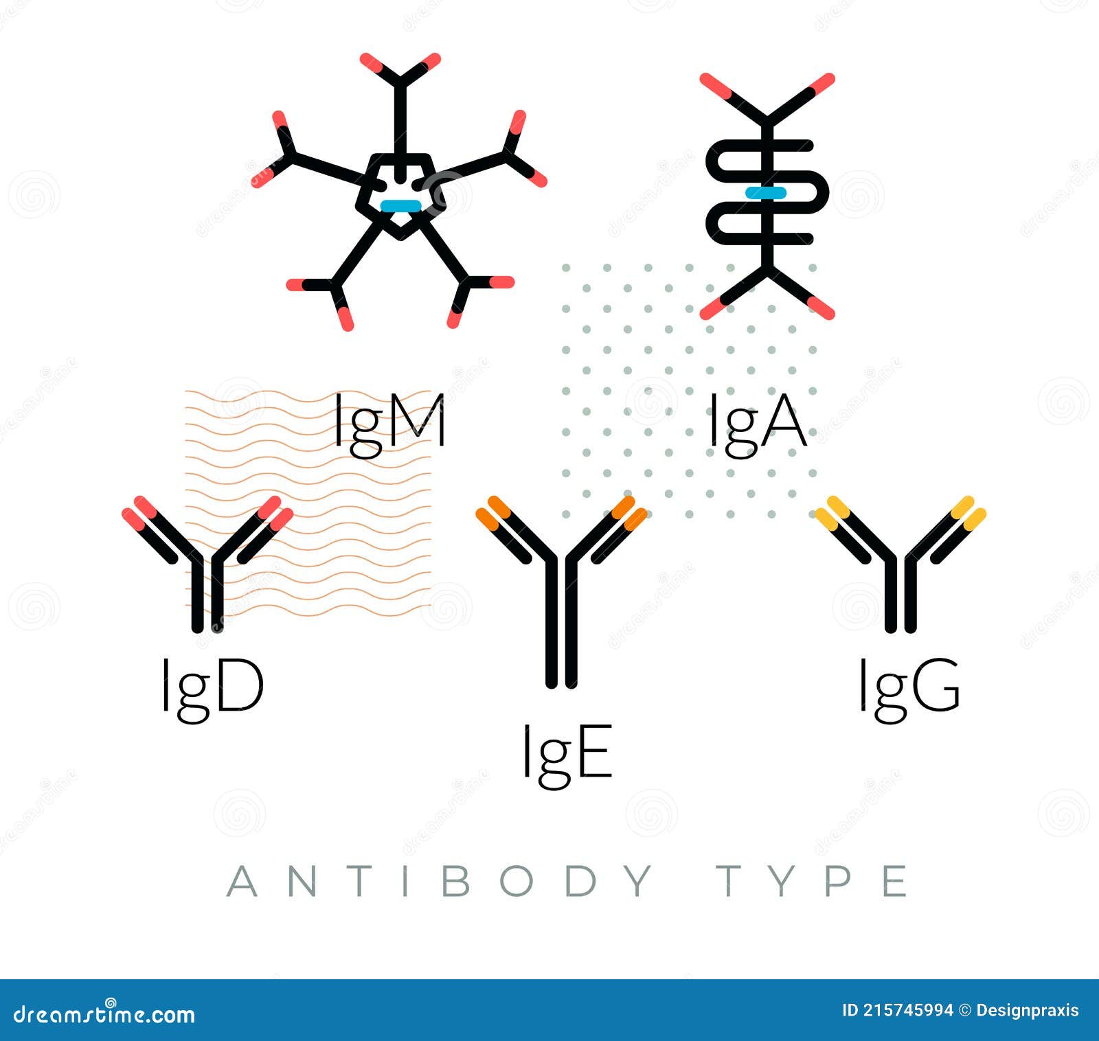 Immunoglobulin Test - Complex Protein - Icon Cartoon Vector ...